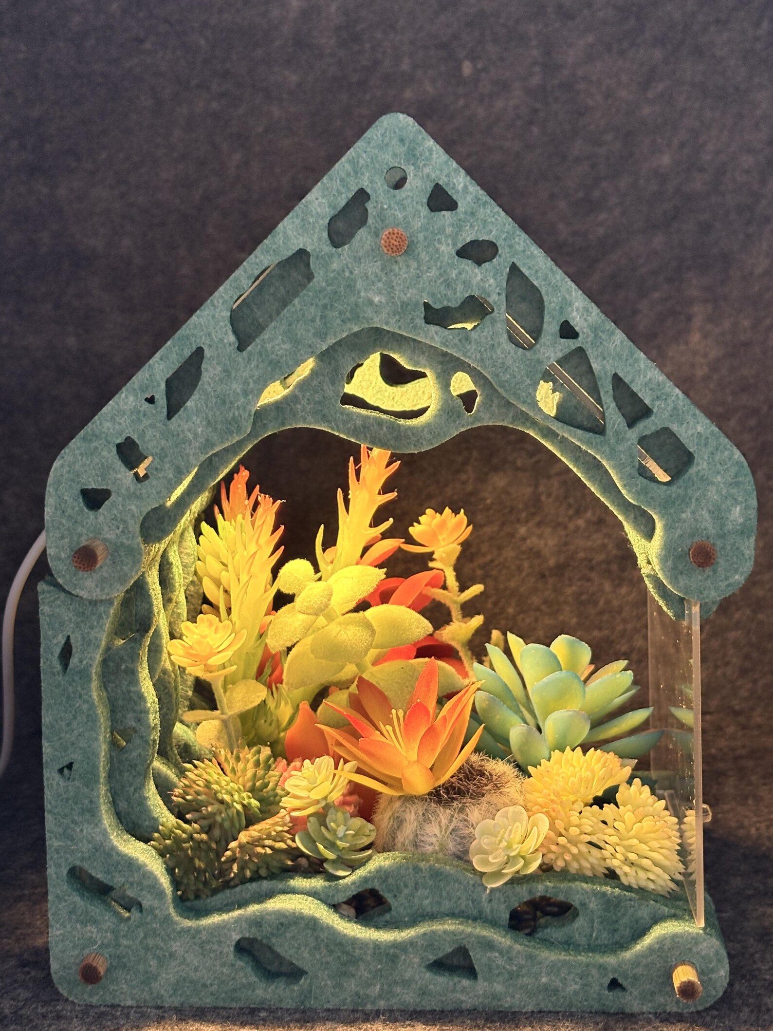 Terrarium With Led Night Lamp | Modular Terrarium House |mini Gardens ...