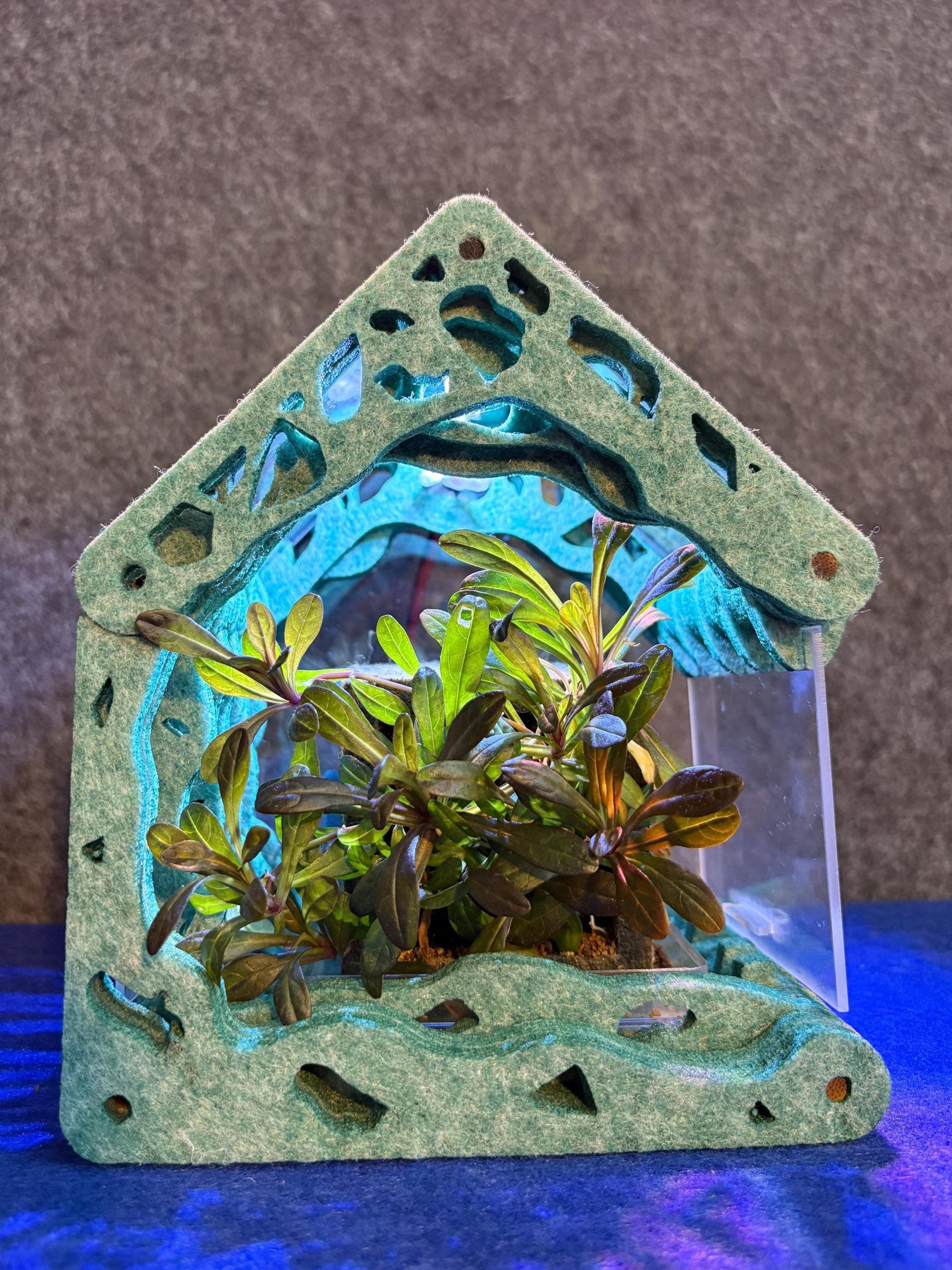 Terrarium With Led Night Lamp | Modular Terrarium House |mini Gardens ...