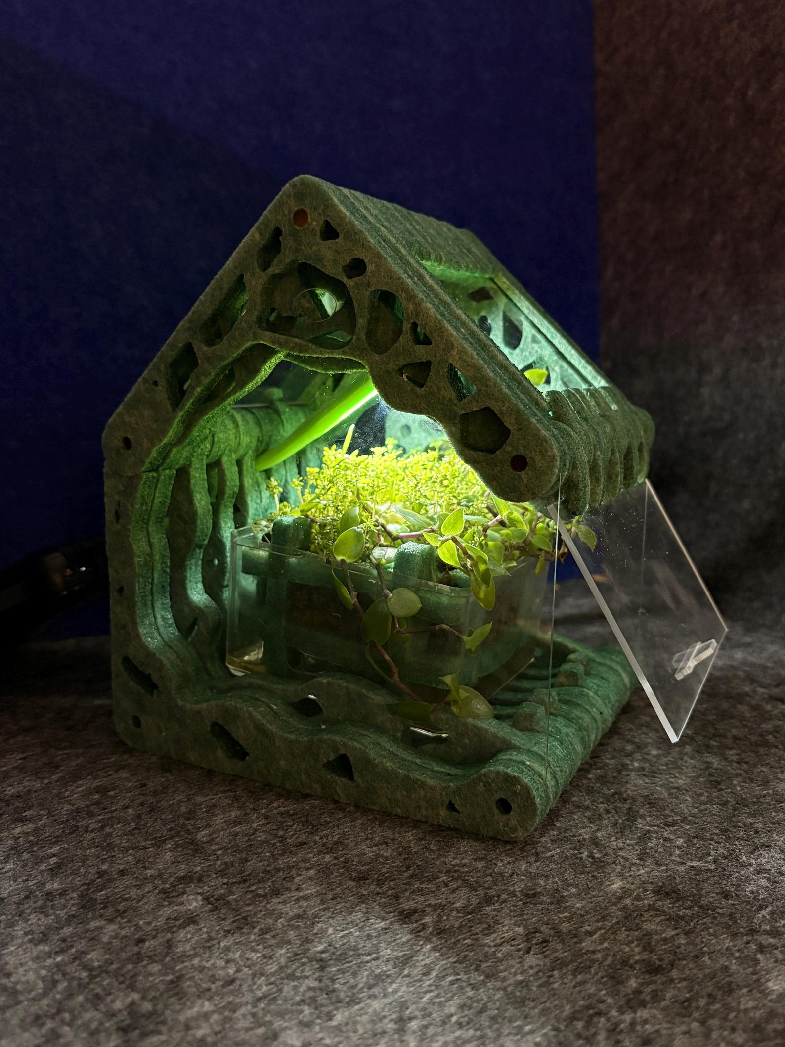 Terrarium With Led Night Lamp | Modular Terrarium House |mini Gardens ...