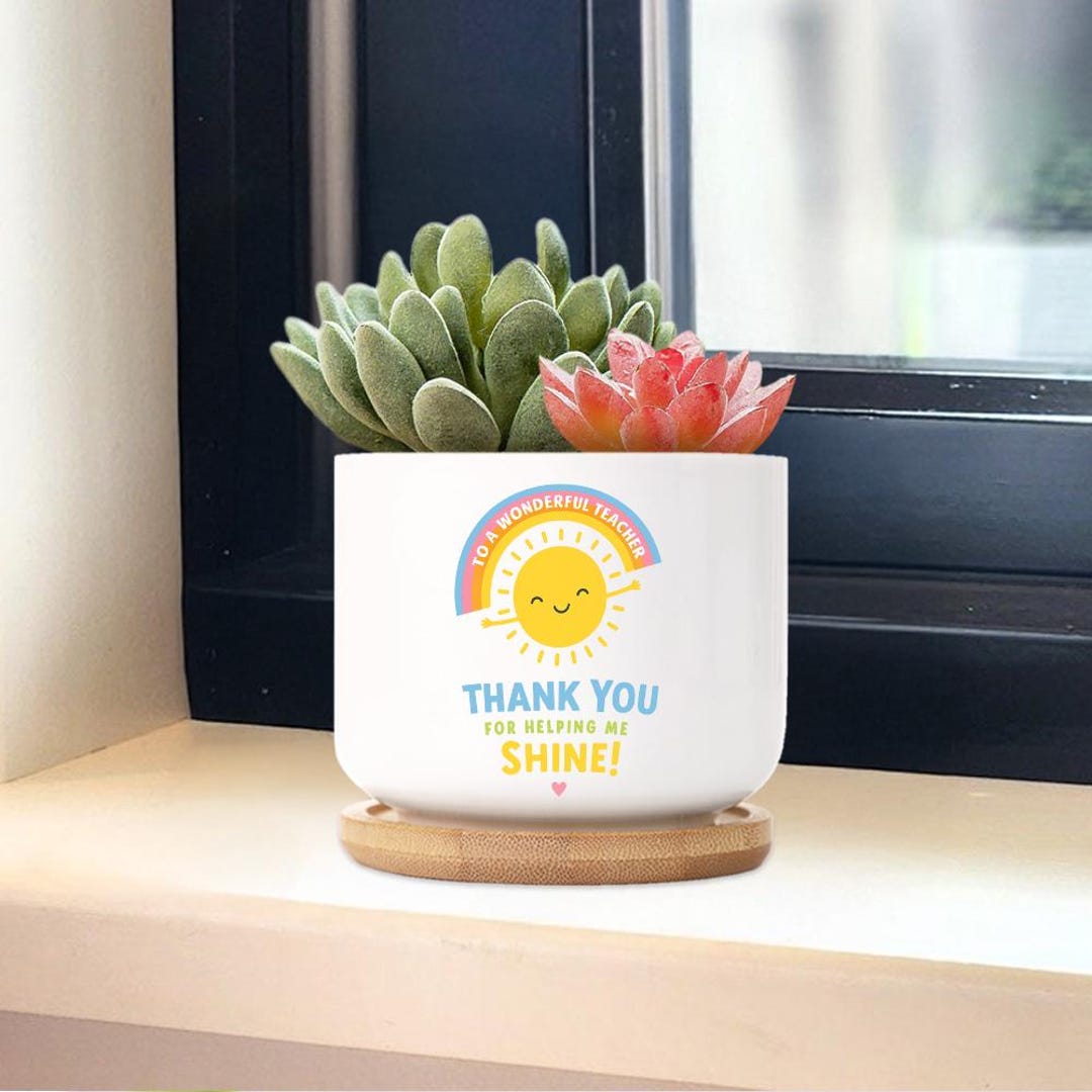Funny Smiley Face Plant Pot, Mini Ceramic Planter for Cactus or ...