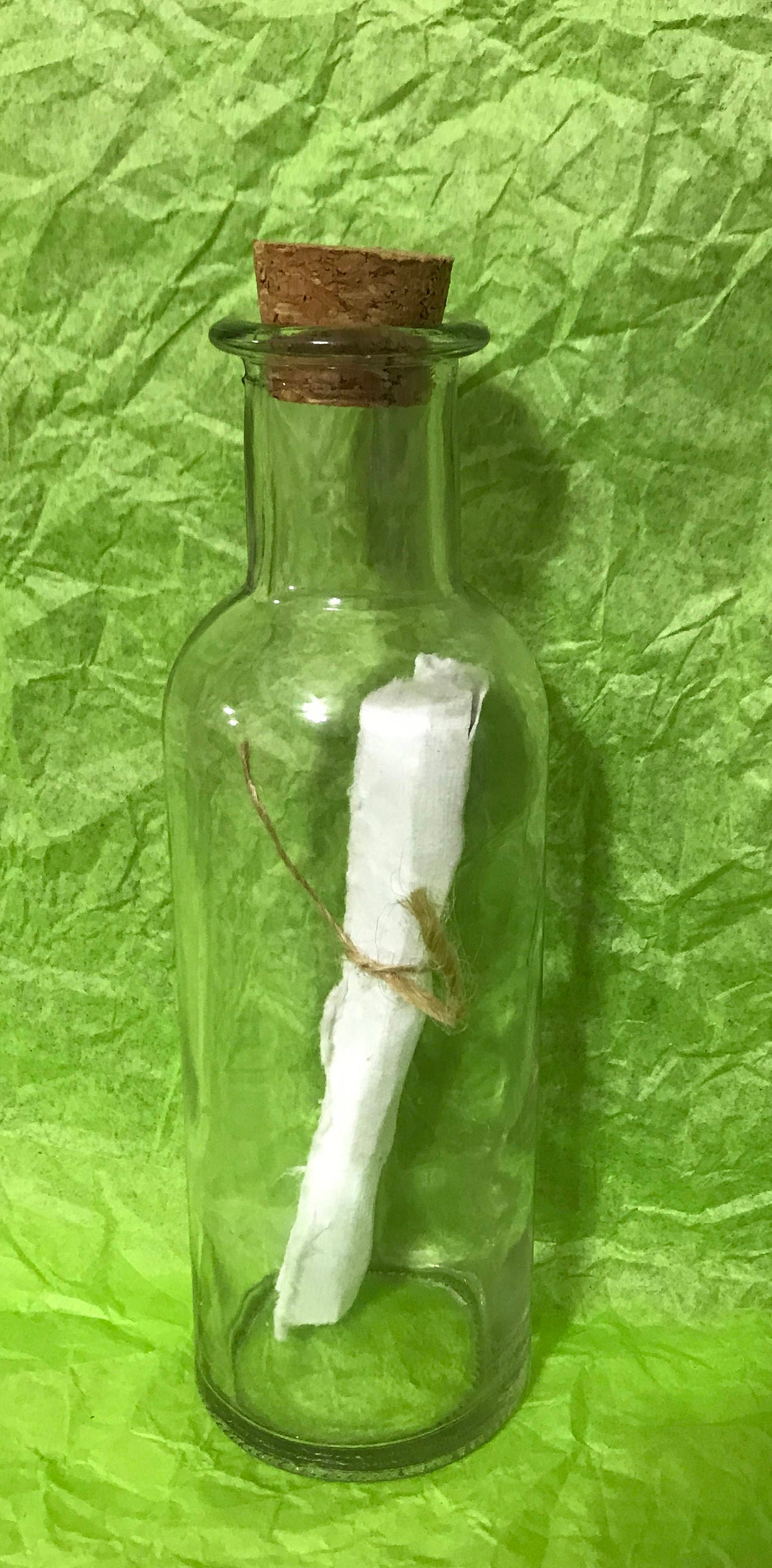 Spongebob Squarepants Krabby Patty Secret Formula