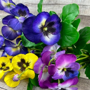 Pansy Bunch Spring Pansy Easter Pansy Yellow Pansies Purple Pansies ...