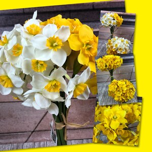 New Artificial Daffodil Bundle, 12 Stems With 36 Blooms, 10 Stem, Silk ...