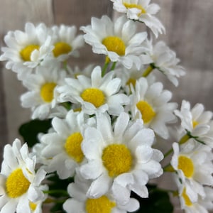 Mini Daisy Flower Bush for Wedding Flowers Mini White Daisy Bundle 13 ...