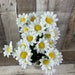 Mini Daisy Flower Bush for Wedding Flowers Mini White Daisy Bundle 13 ...