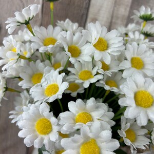 Mini Daisy Flower Bush for Wedding Flowers Mini White Daisy Bundle 13 ...