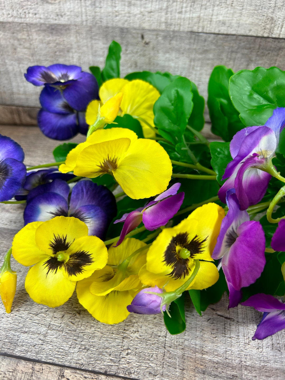 Pansy Bunch Spring Pansy Easter Pansy Yellow Pansies Purple Pansies ...