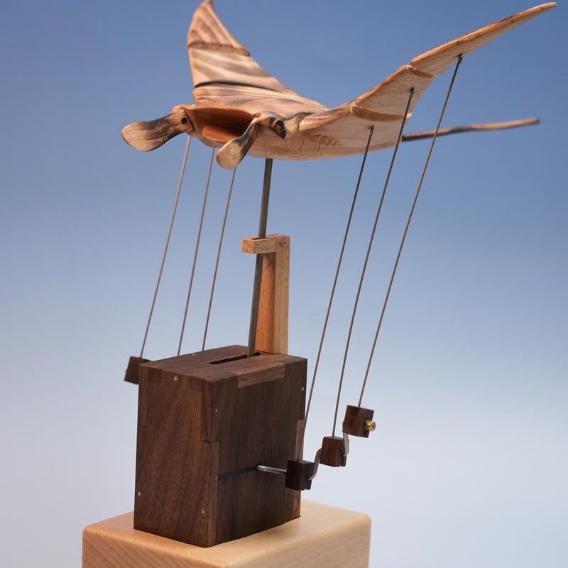 Manta Ray Moving Art - Etsy UK