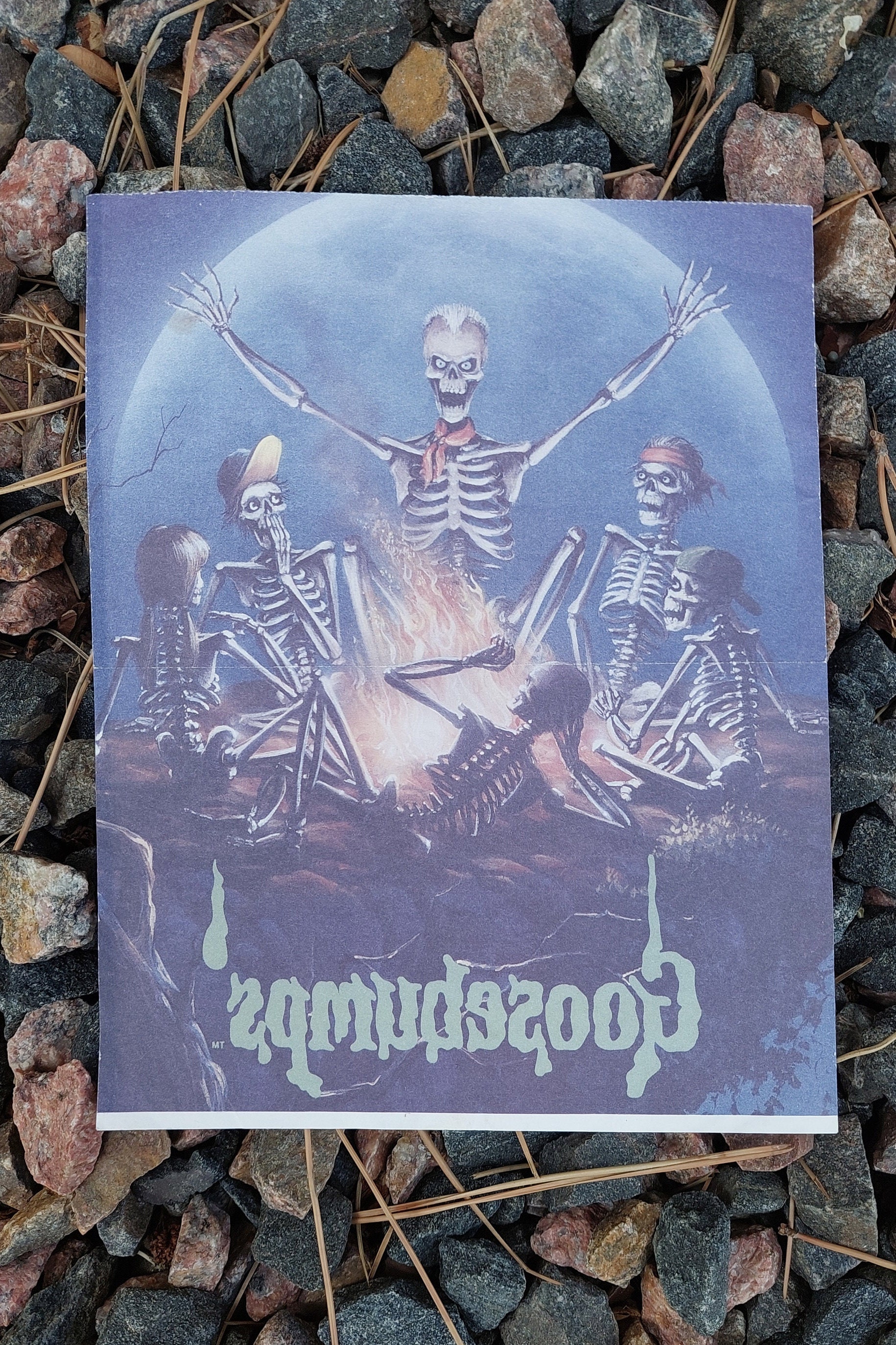 Vintage Goosebumps the Horror at Camp Jellyjam Book With Decal of Doom ...