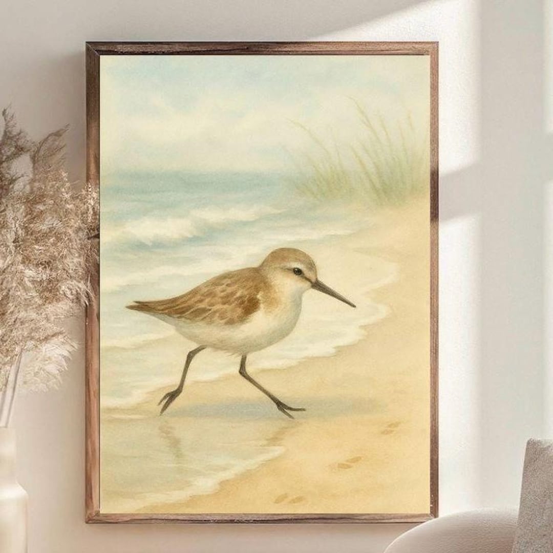 Sandpiper Soft Oil Painting Art Print | Coastal Beach Bird Wall Art ...