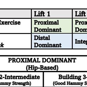 Optimizing Hamstring Training: A Comprehensive Resource for Coaches - Etsy