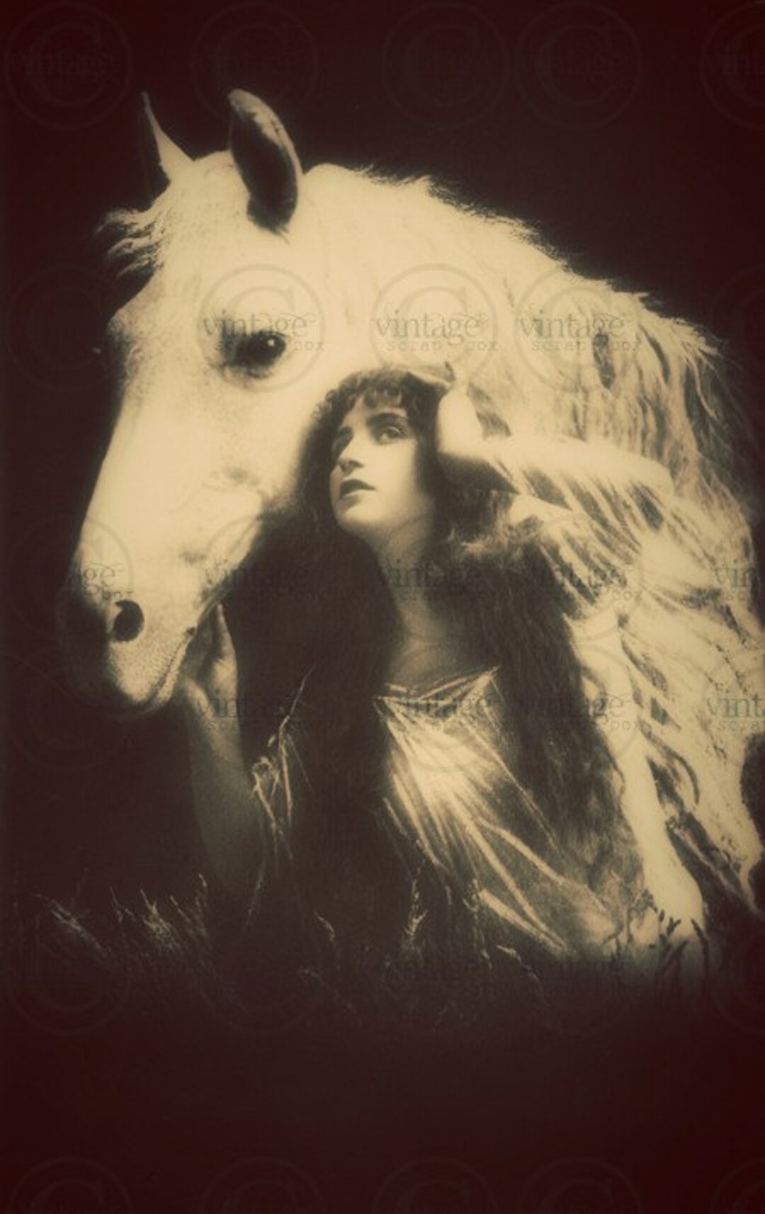 Digital Image Download of Beautiful Gypsy With Her Horse - an Antique ...