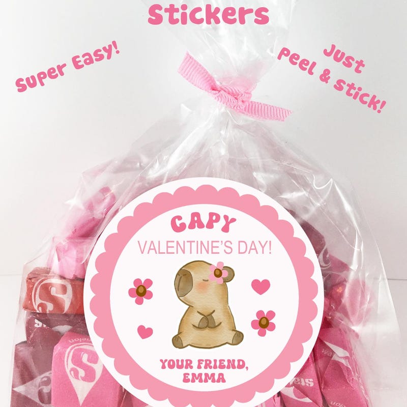 Capybara Kids Valentines - Etsy