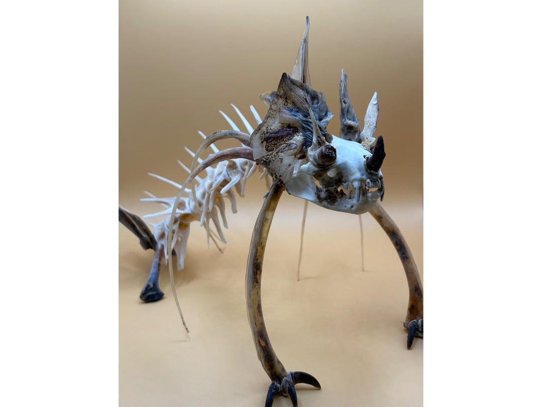 Spiky Spine Sculpture | Bone Art| OOAK - Etsy