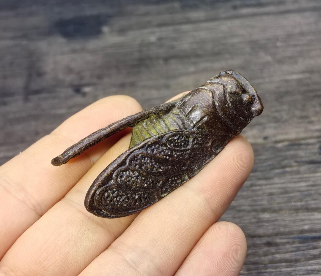 Vintage Bronze Carved Cicada Tea Pet Statue, Home Decortion, Feng Shui ...