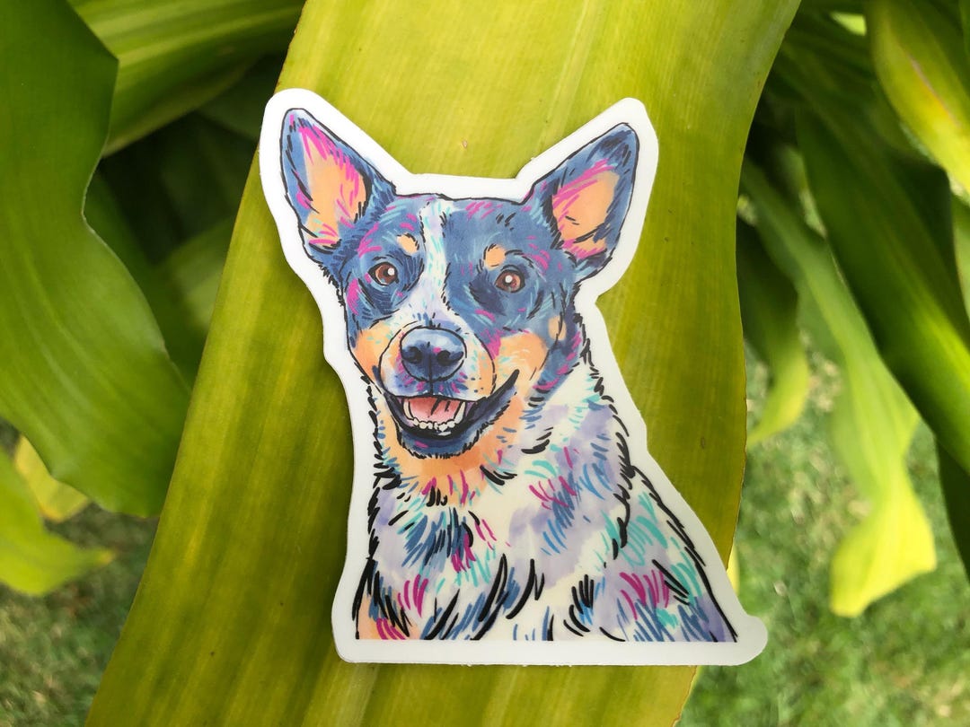 Blue Heeler Sticker, Australian Cattle Dog Art Decal - Etsy
