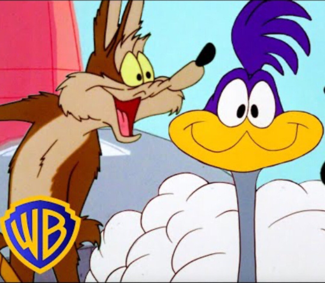 The Roadrunner Handmade Crochet Hat Beanie - Etsy