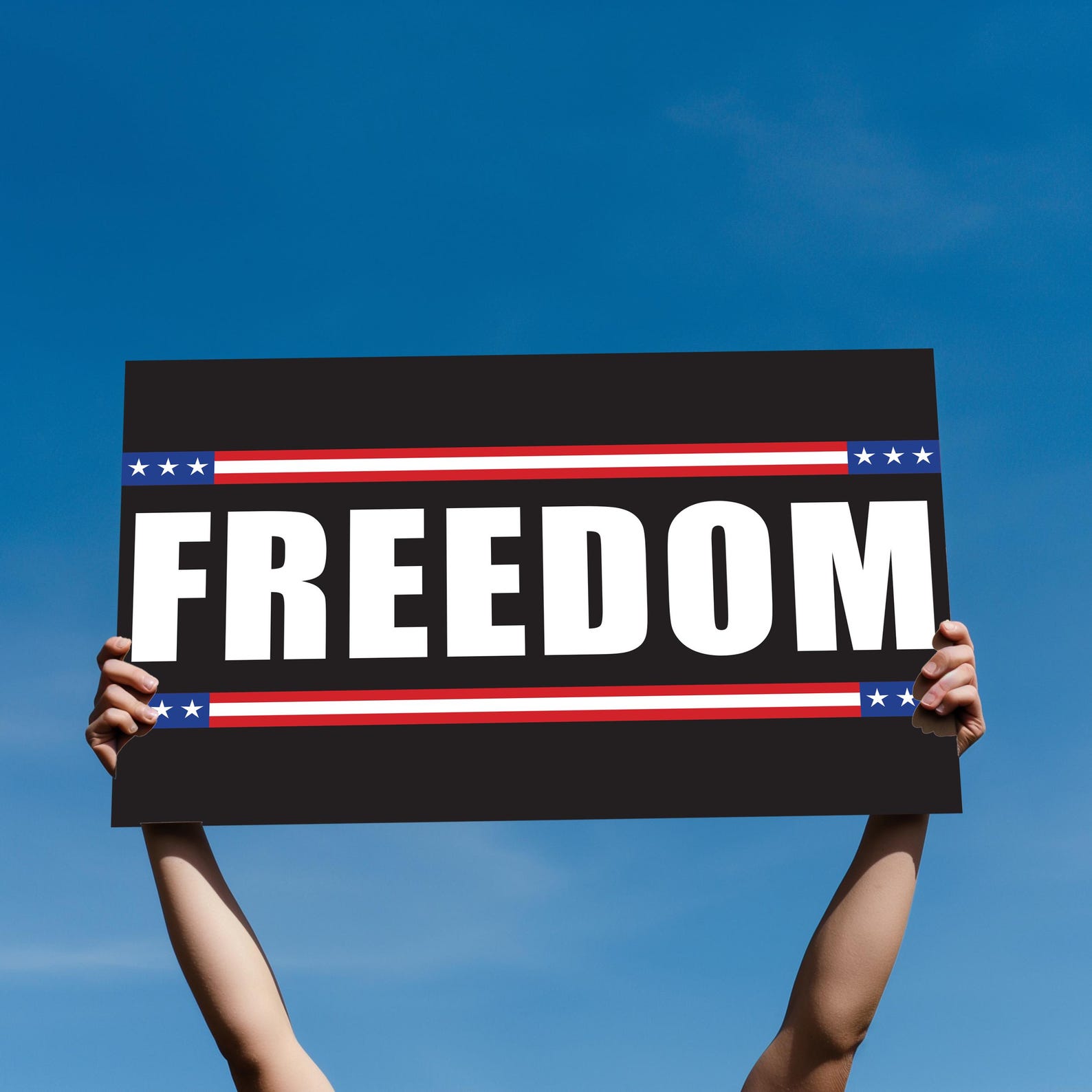 Freedom 17x11 Printable Protest Sign - Etsy