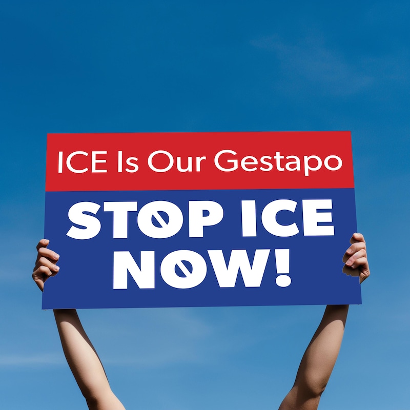 Ice Out Protest Signs - Etsy