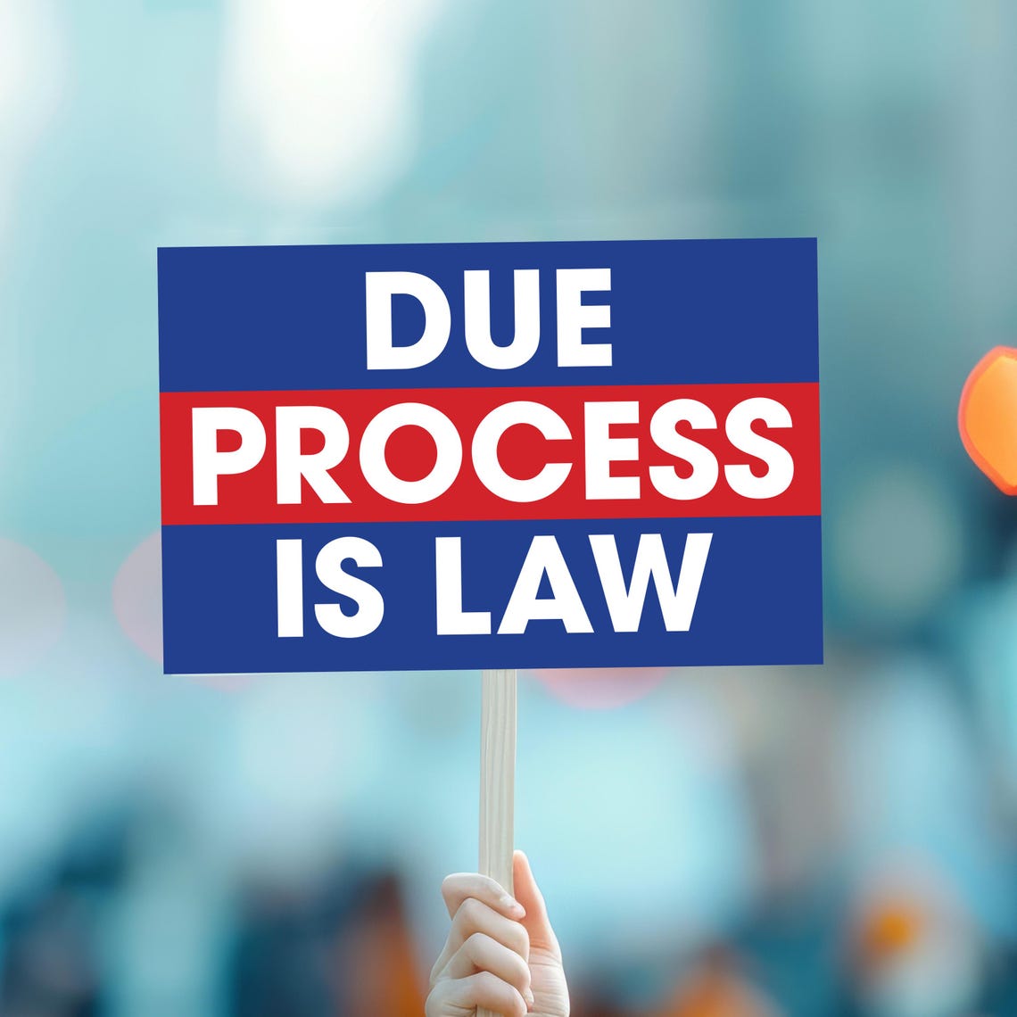 Due Process is Law Protest Sign: Printable Poster (17x11 & 24x18 ...