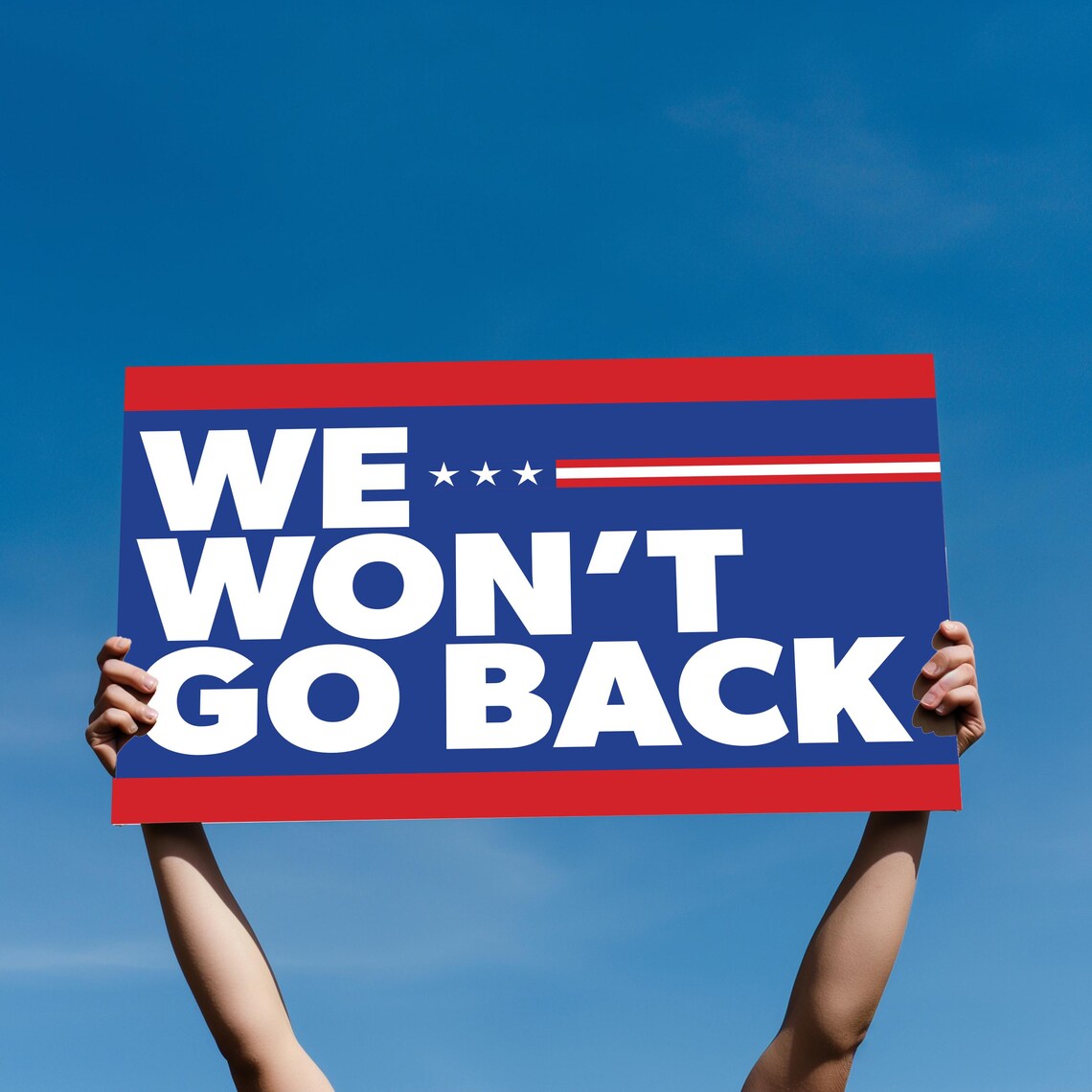 We Won't Go Back | Printable | Large 17x11 and 24x18 | Protest Sign - Etsy