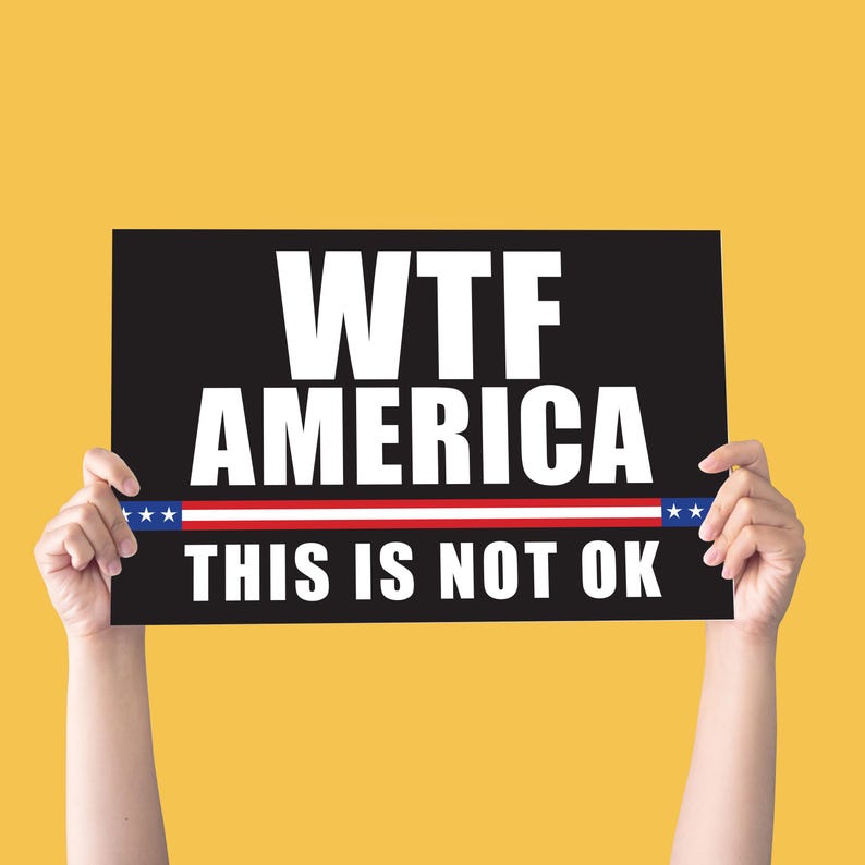 WTF America This is Not Ok | Printable | Large 17x11 and 24x18 ...