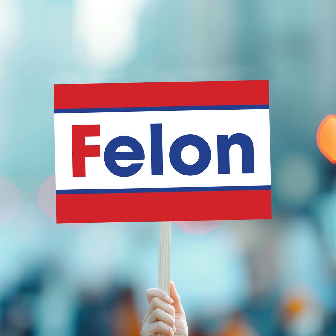 Felon Sign | Printable | Large 17x11 and 24x18 | PROTEST Sign | Great ...