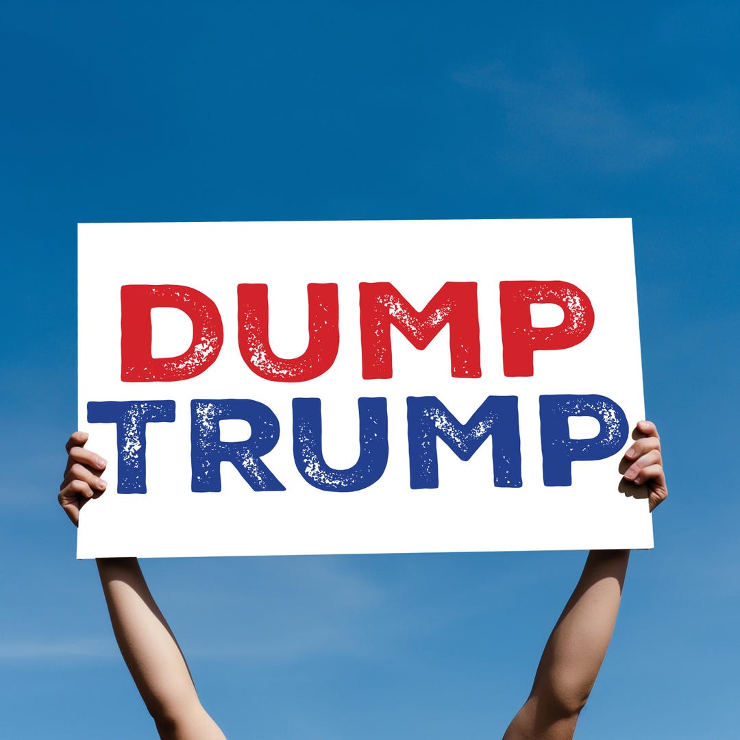 Dump Trump | Printable | Large 17x11 and 24x18 | PROTEST Sign - Etsy