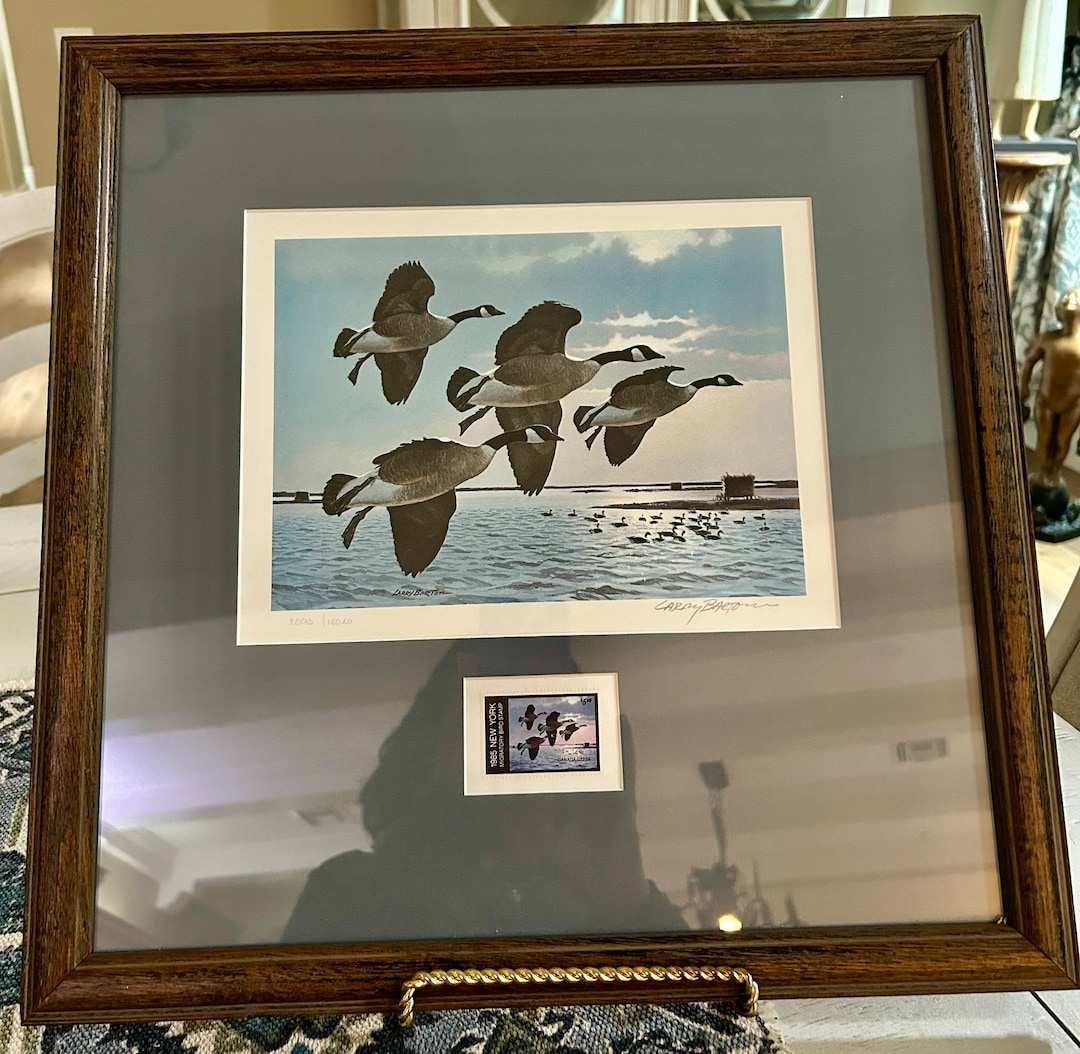 Vintage Framed 1985 Duck Print - Etsy