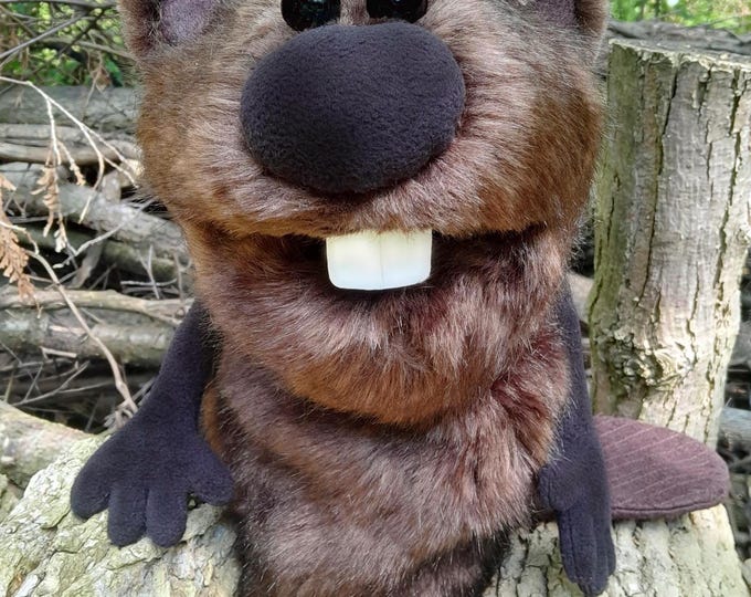 The Best-looking Beaver Puppet You’ll Ever Meet! - Etsy