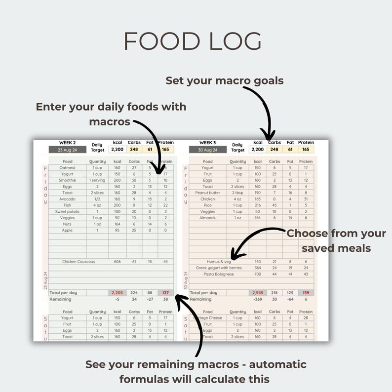 Daily Food Diary in Google Sheets Compatible With Mobile Phone ...