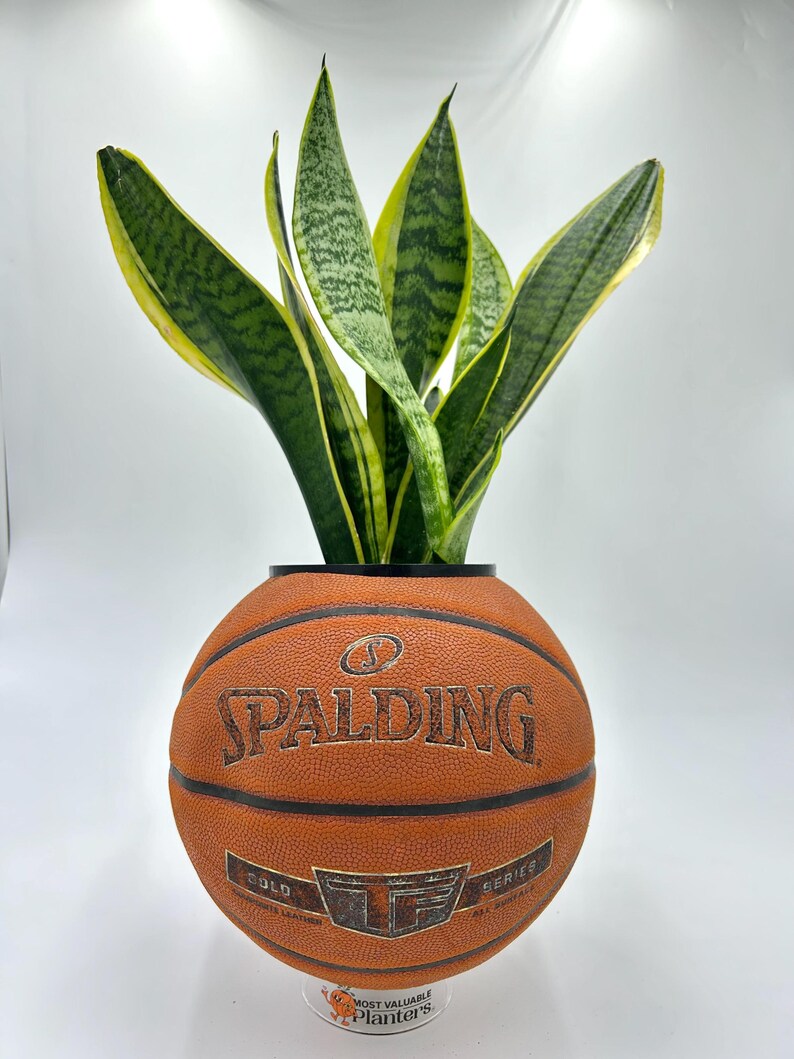 Spalding TF Gold Series Composite Leather Basketball Planter - Etsy