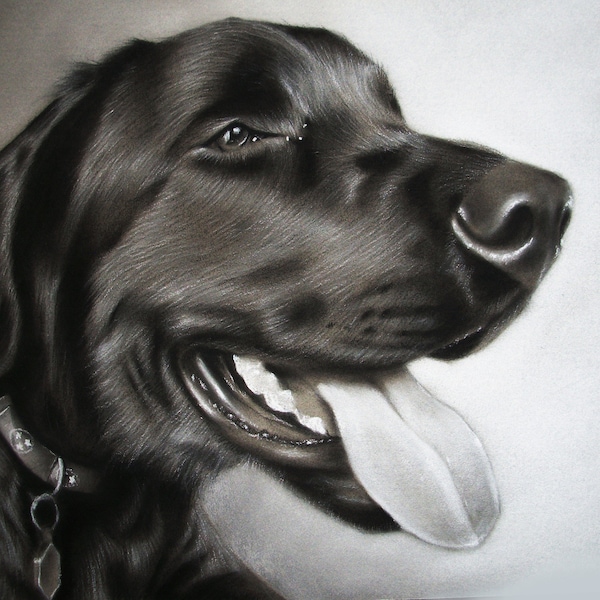Charcoal Dog Drawing - Etsy