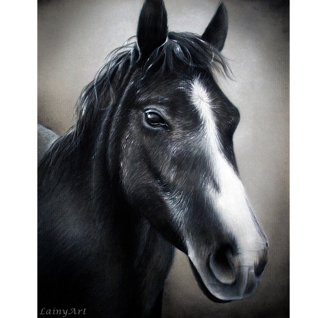 CUSTOM Hand Painted Charcoal Horse Drawing, Horse Lover, Pet Painting ...