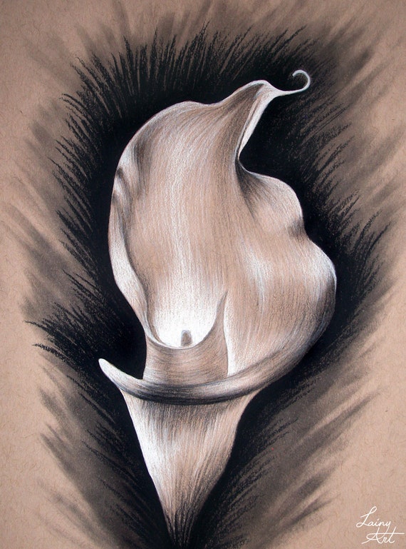 Calla Lily Original Art Pastel and Charcoal Drawing | Etsy