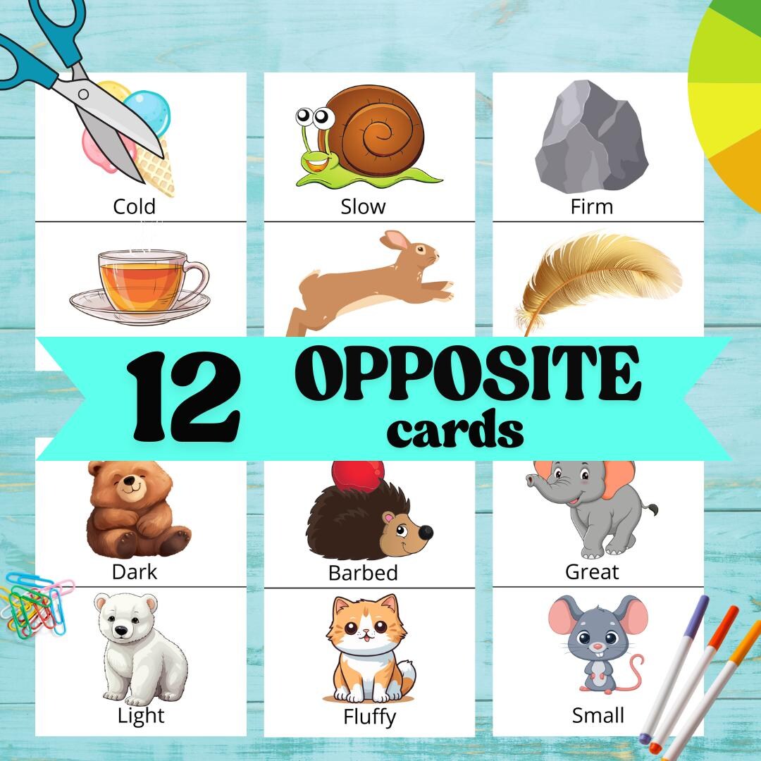 Opposites Matching Game, Cards to Create Opposite Pairs, Memory Game ...