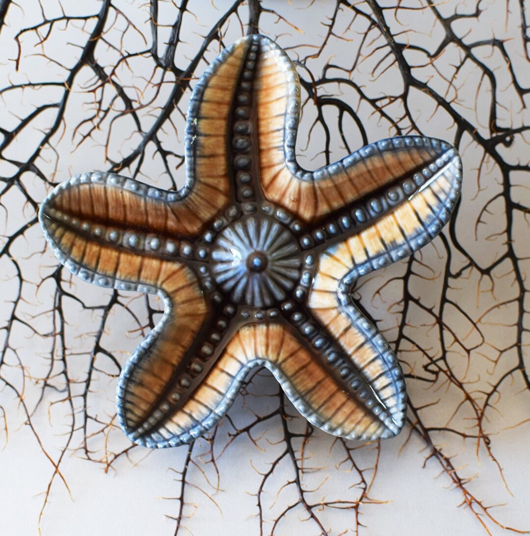 Vintage Starfish Trinket Dish Wade Ireland - Etsy