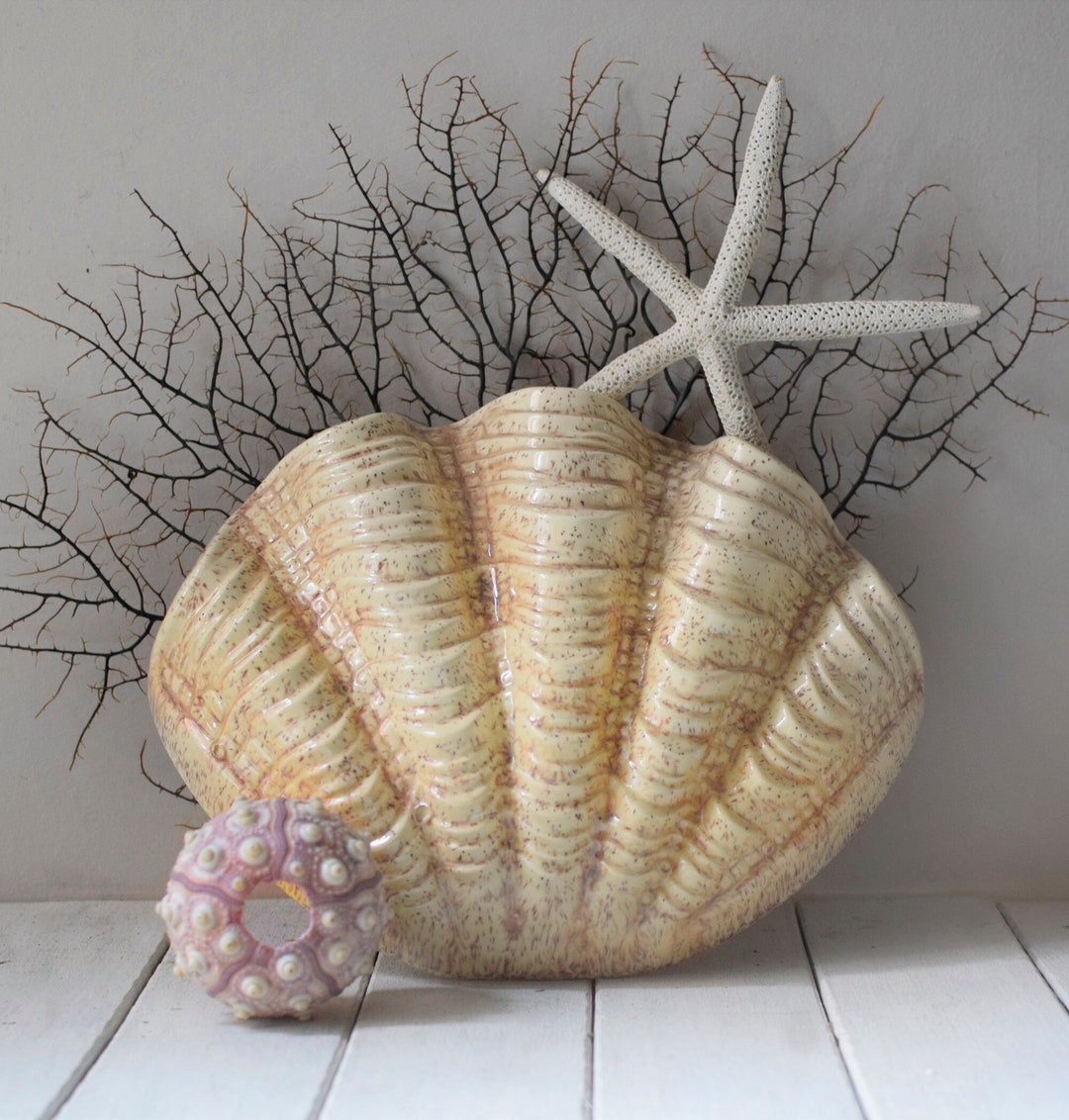 Vintage Sea Shell Wall Pocket Planter Vase Seaside Beach Hut Decor - Etsy