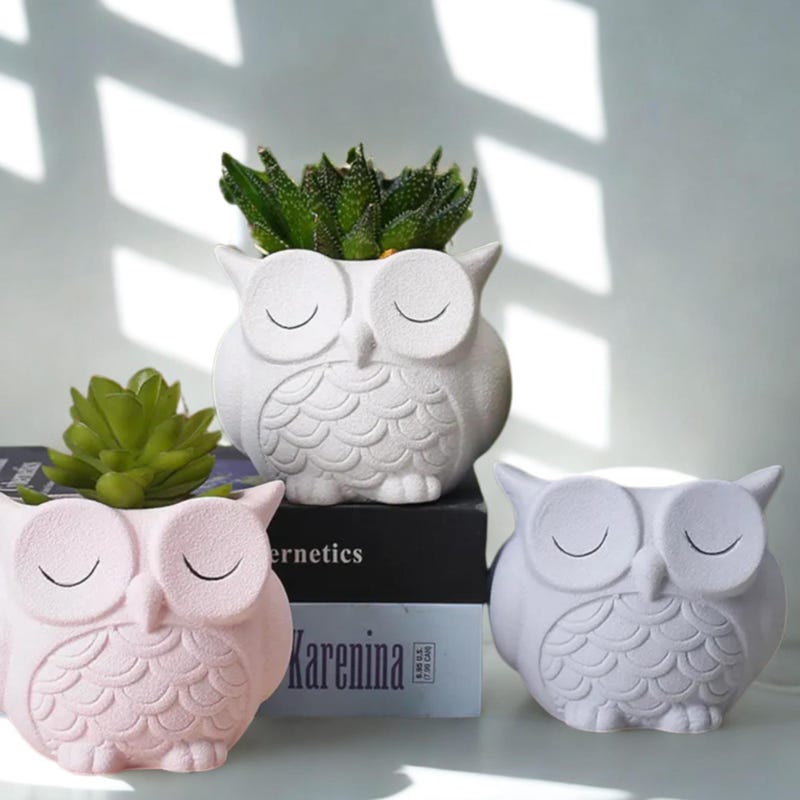 Owl Flower Pot - Etsy