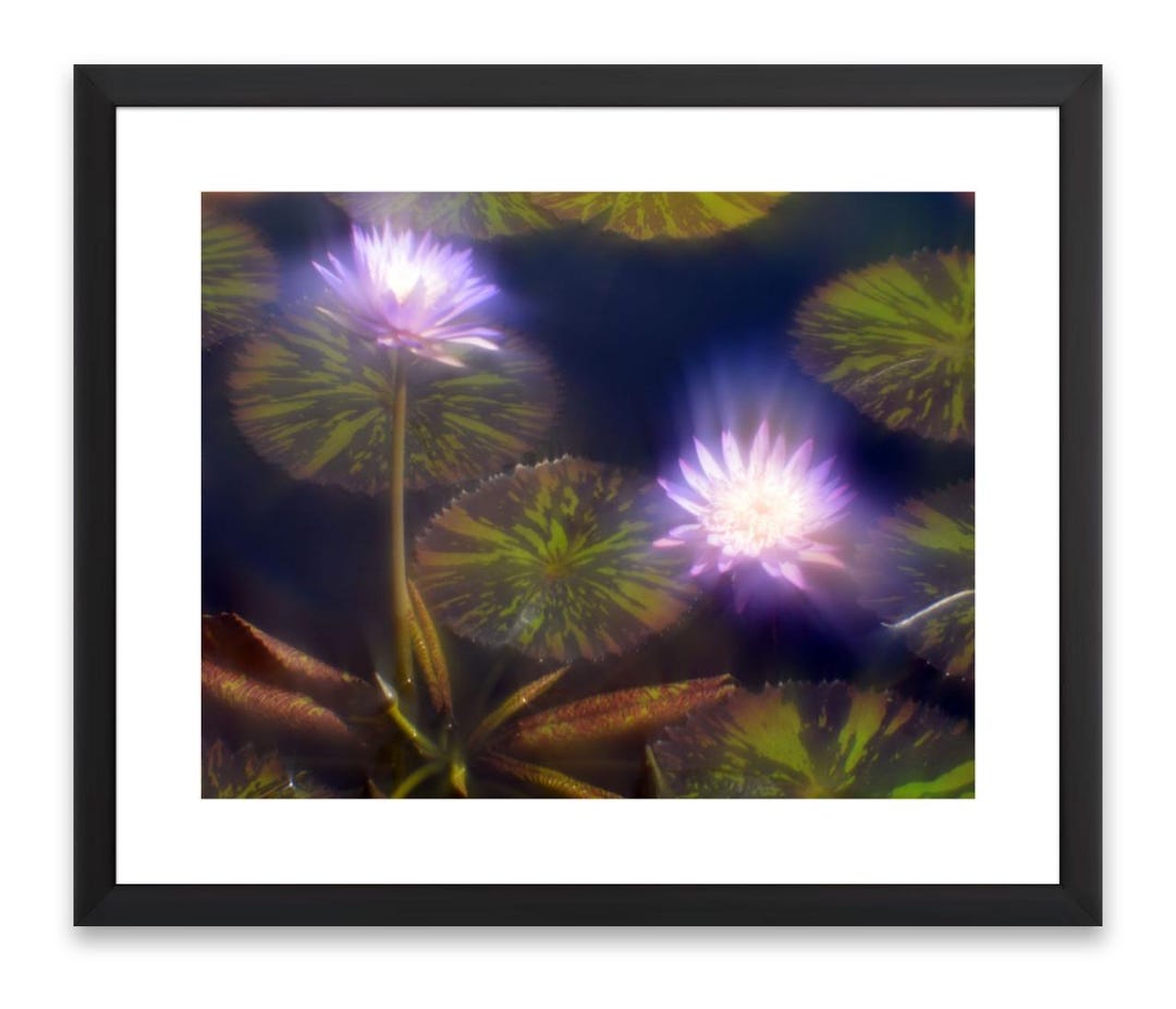 Glowing Water Lilies Digital Download, Flower Wall Art, Glowing ...