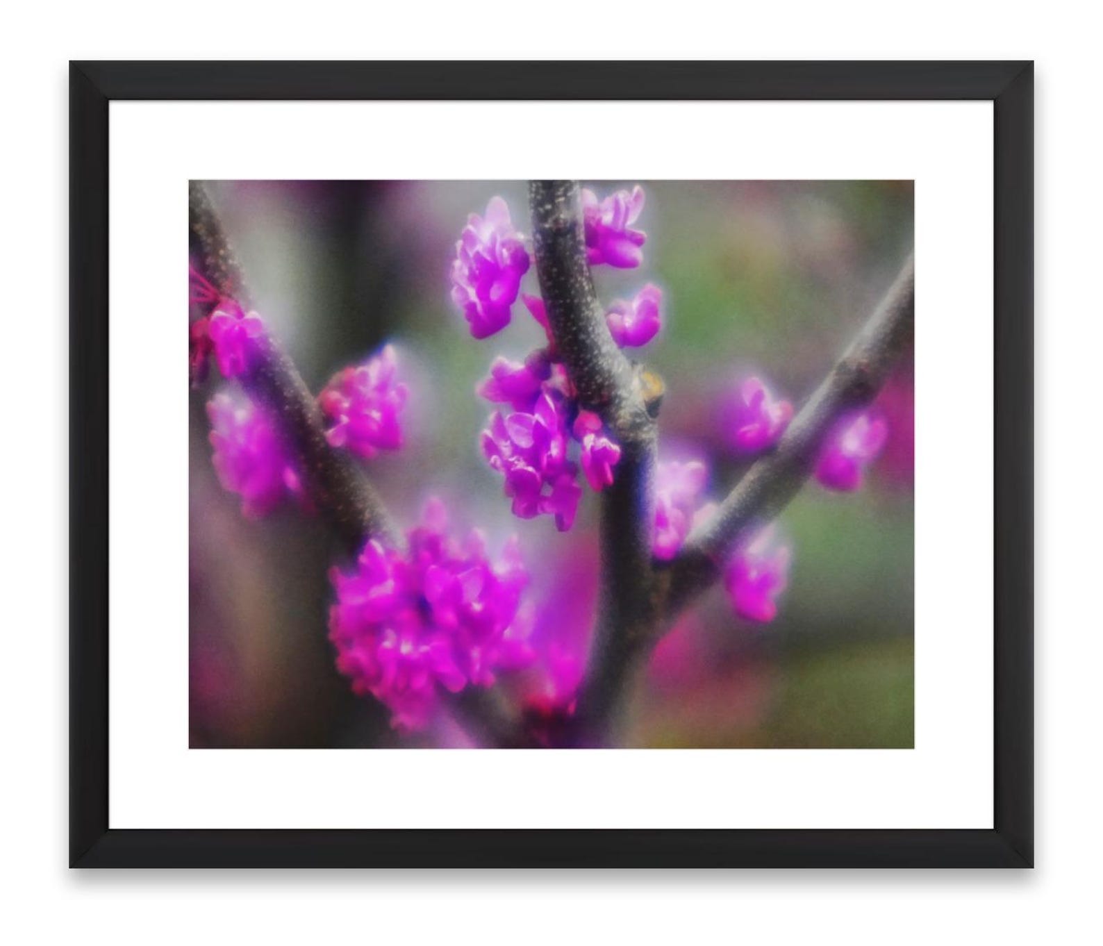 Purple Blossoms Art Print, Soft Focus Floral Photography (digital ...