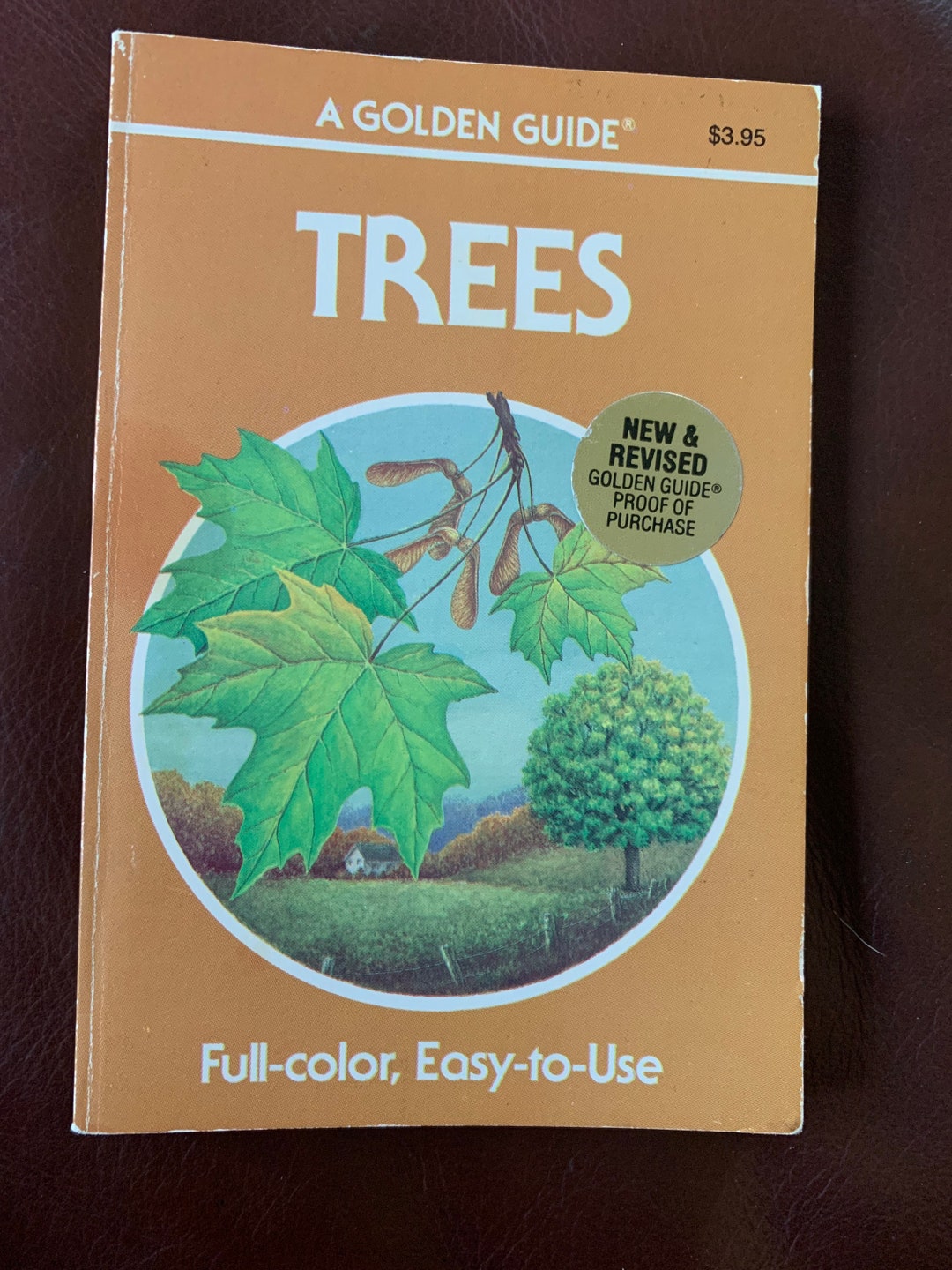 A Golden Guide Trees 1987 Paperback - Etsy