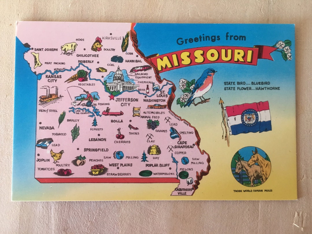 Vintage Missouri State Postcard - Etsy