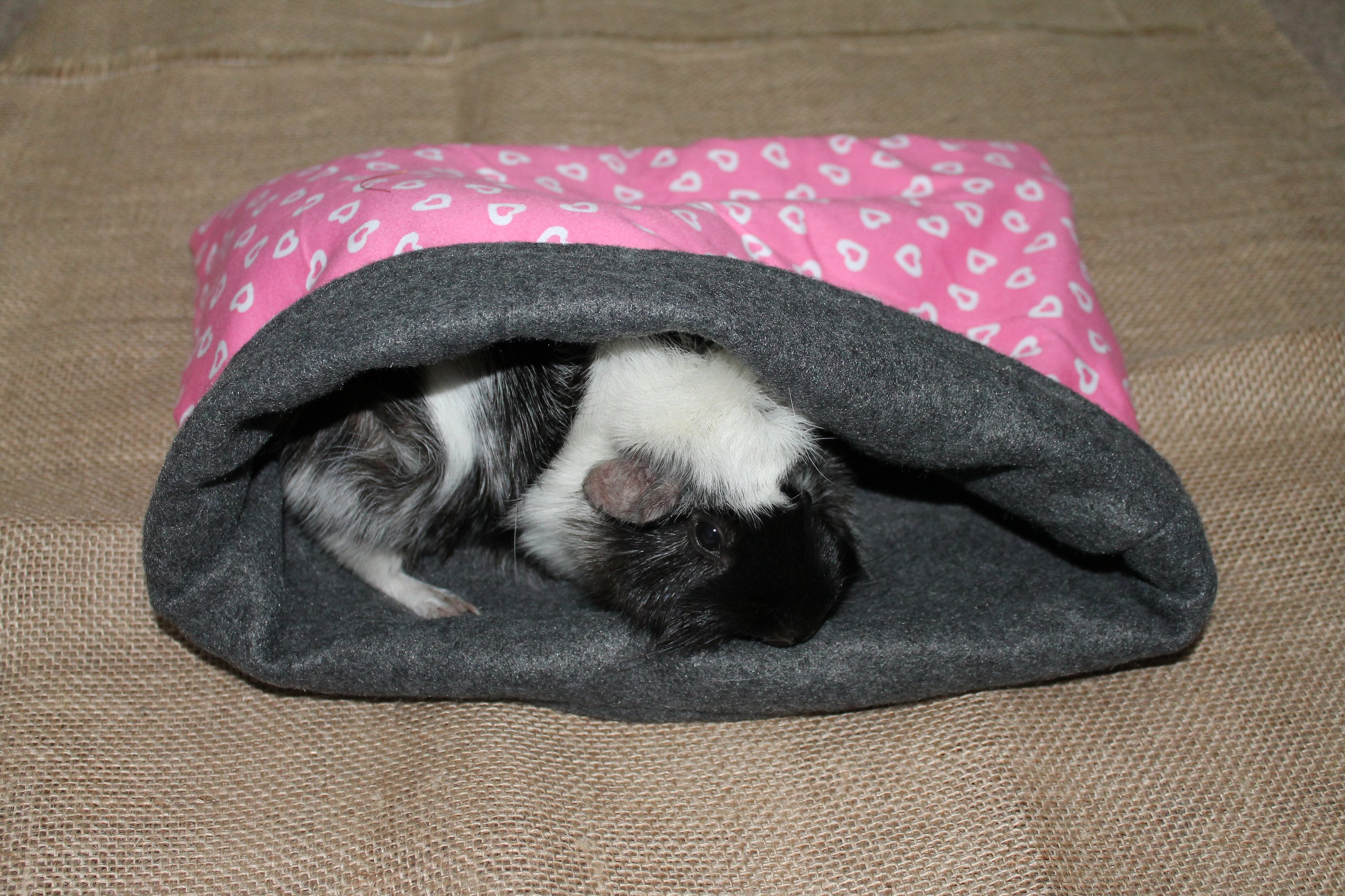 Chicken Pocket Pet Pouch - Etsy