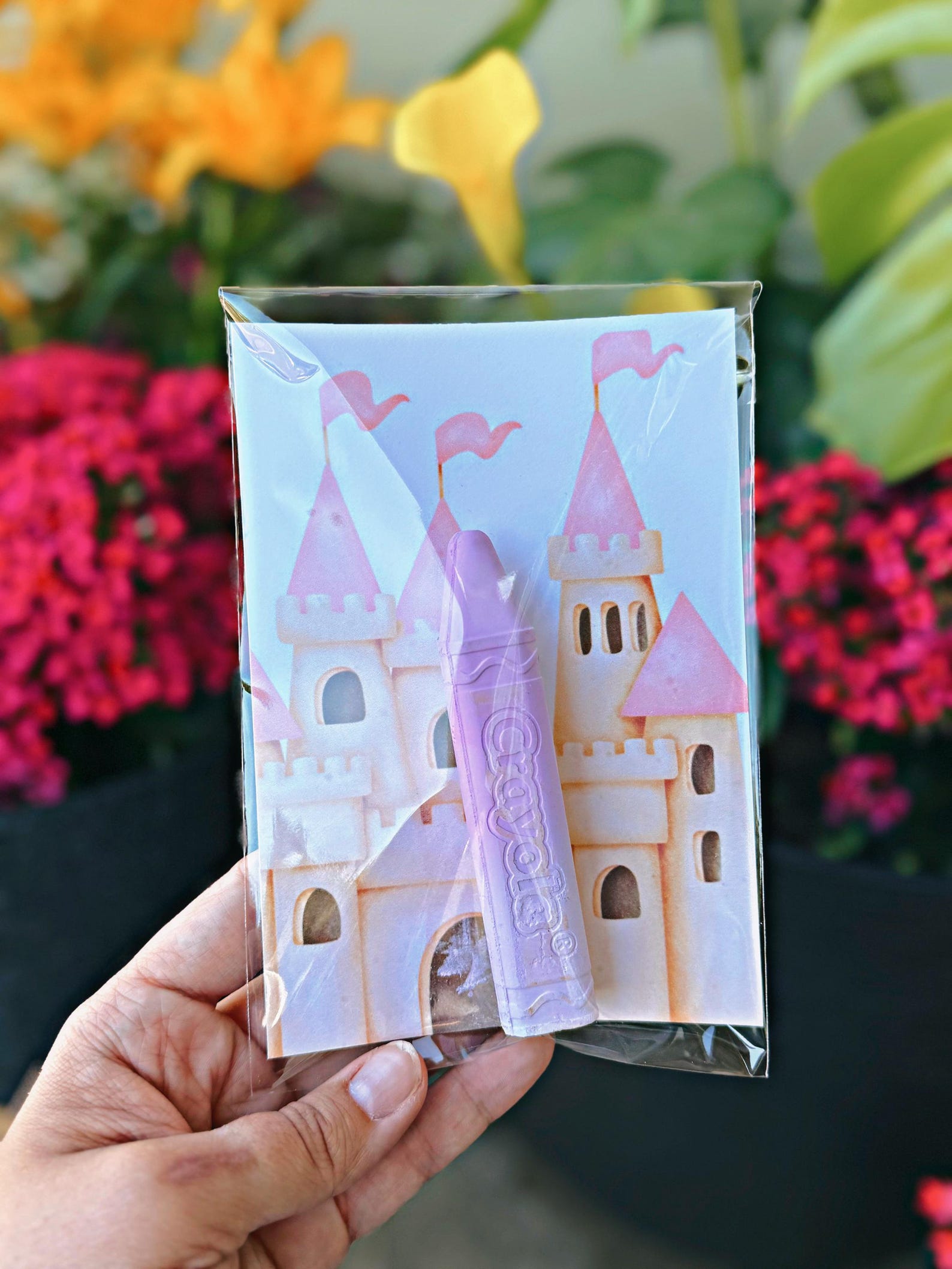 Princess Chalk Party Favors - Etsy