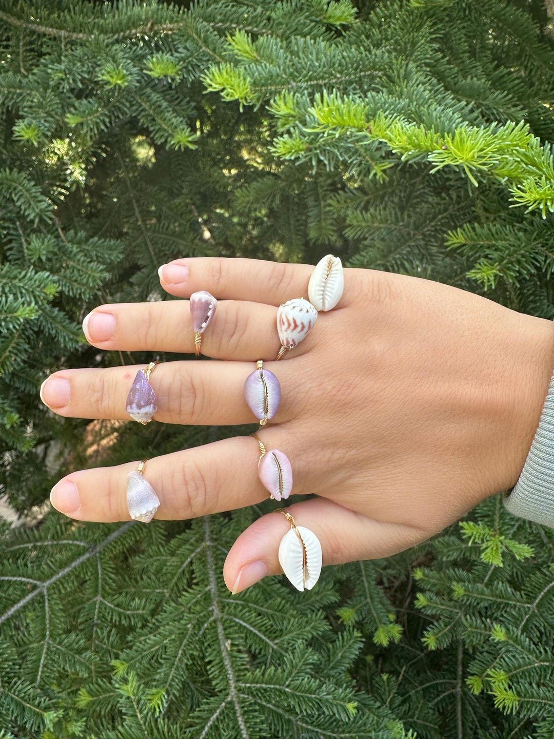 Shell Rings - Etsy