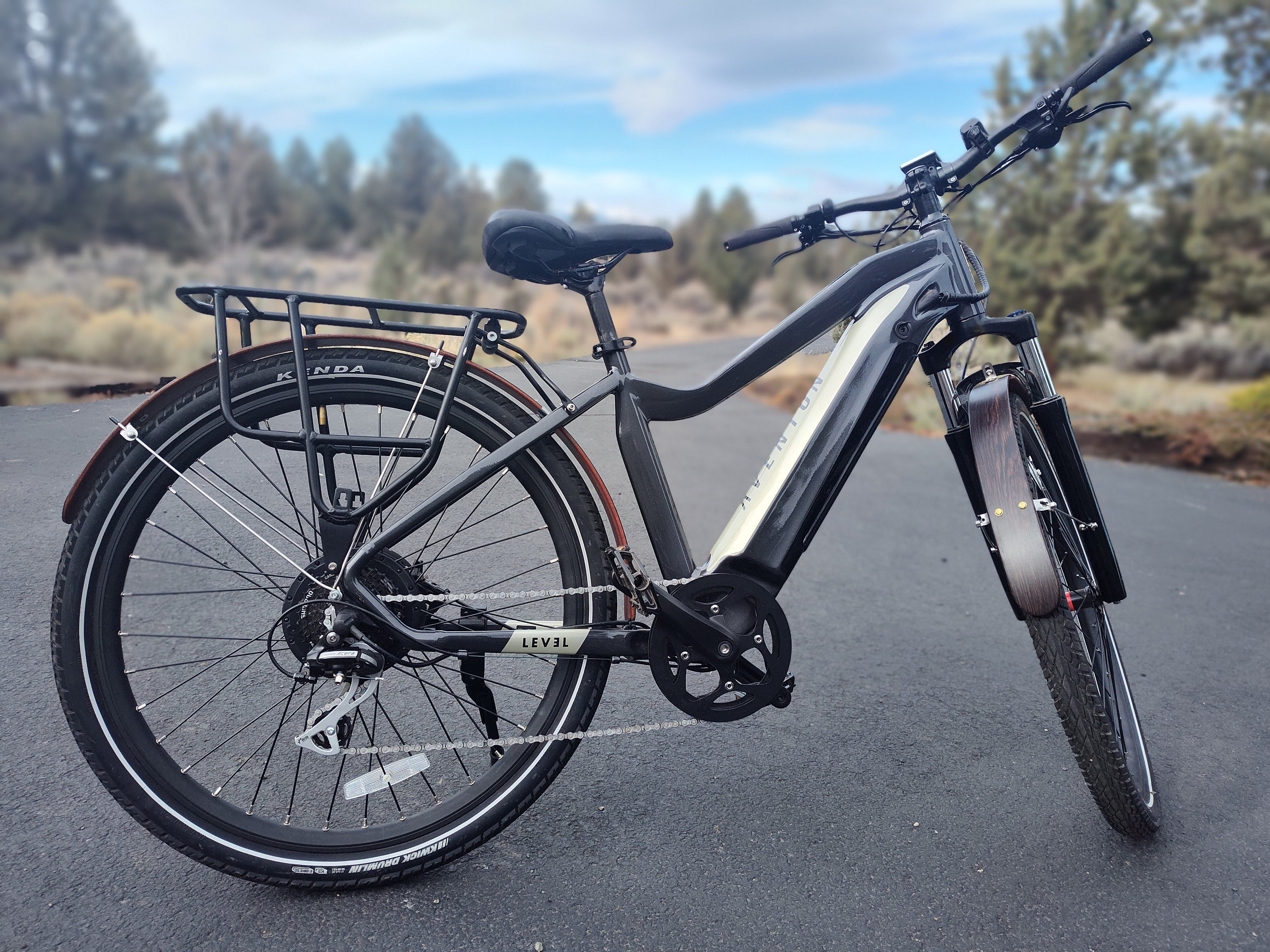 Wenge Wood Bicycle Fenders – Handmade Bike Mudguards, Stainless ...