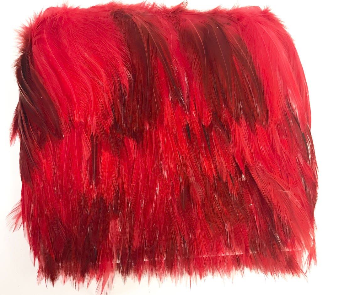 24" Dyed Red Rooster Saddle Feather Strip - FREE SHIPPING - Etsy