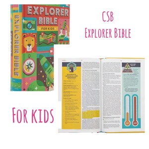 Custom Handpainted Bible- You Specify Theme, Design, Art, Colors ...