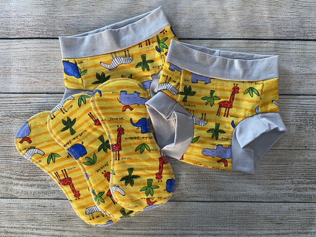 TWO Size 2-3 Comfy Undies With THREE Trainer Inserts Package - Training ...